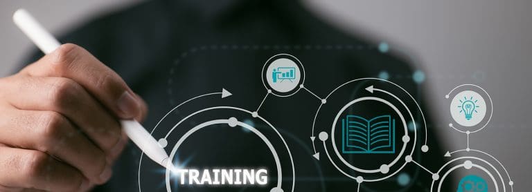 Training | The Big Picture Partners